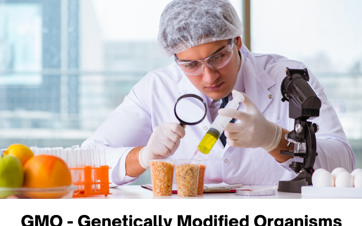 Food Safety Standard