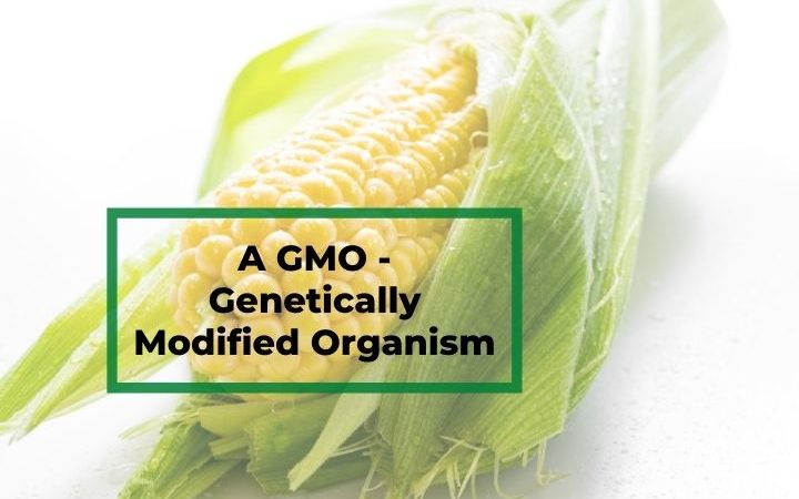 Food Safety Standard