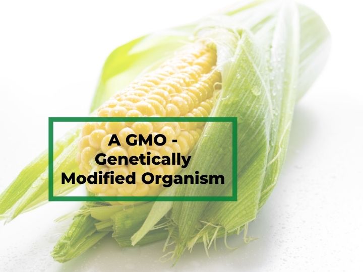 Food Safety Standard