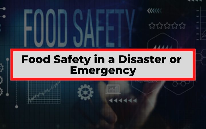 Food Safety Standard