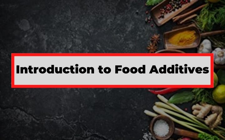 Food Safety Standard