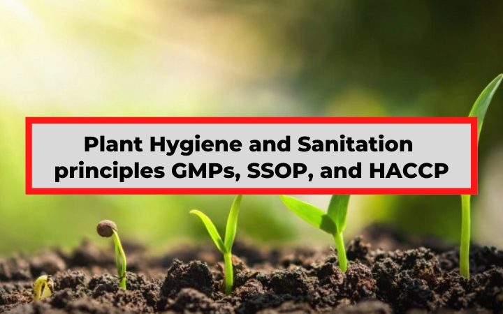 Food Safety Standard