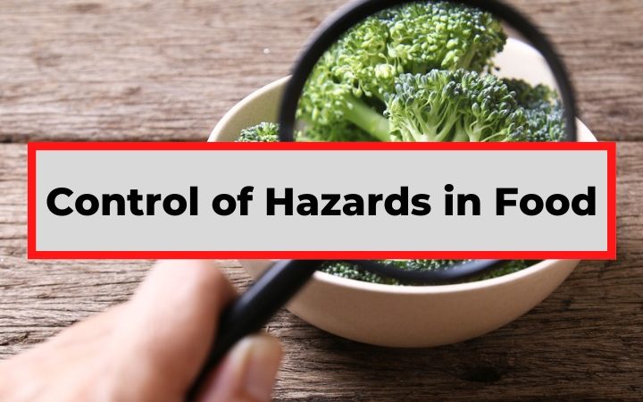 Food Safety Standard