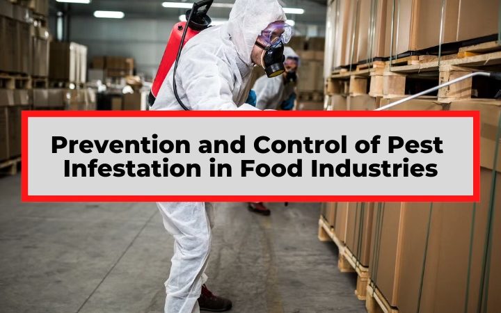 Food Safety Standard