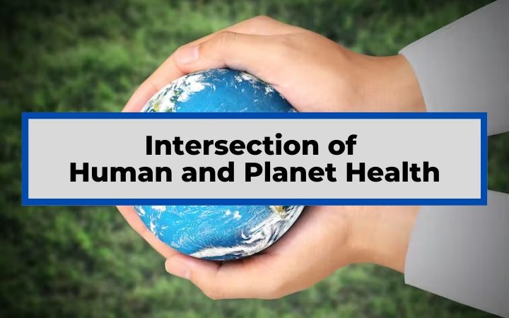 Food Safety Standard