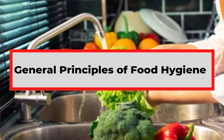 Food Safety Standard