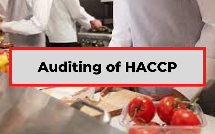 Food Safety Standard